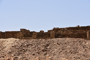 Tayma Oasis