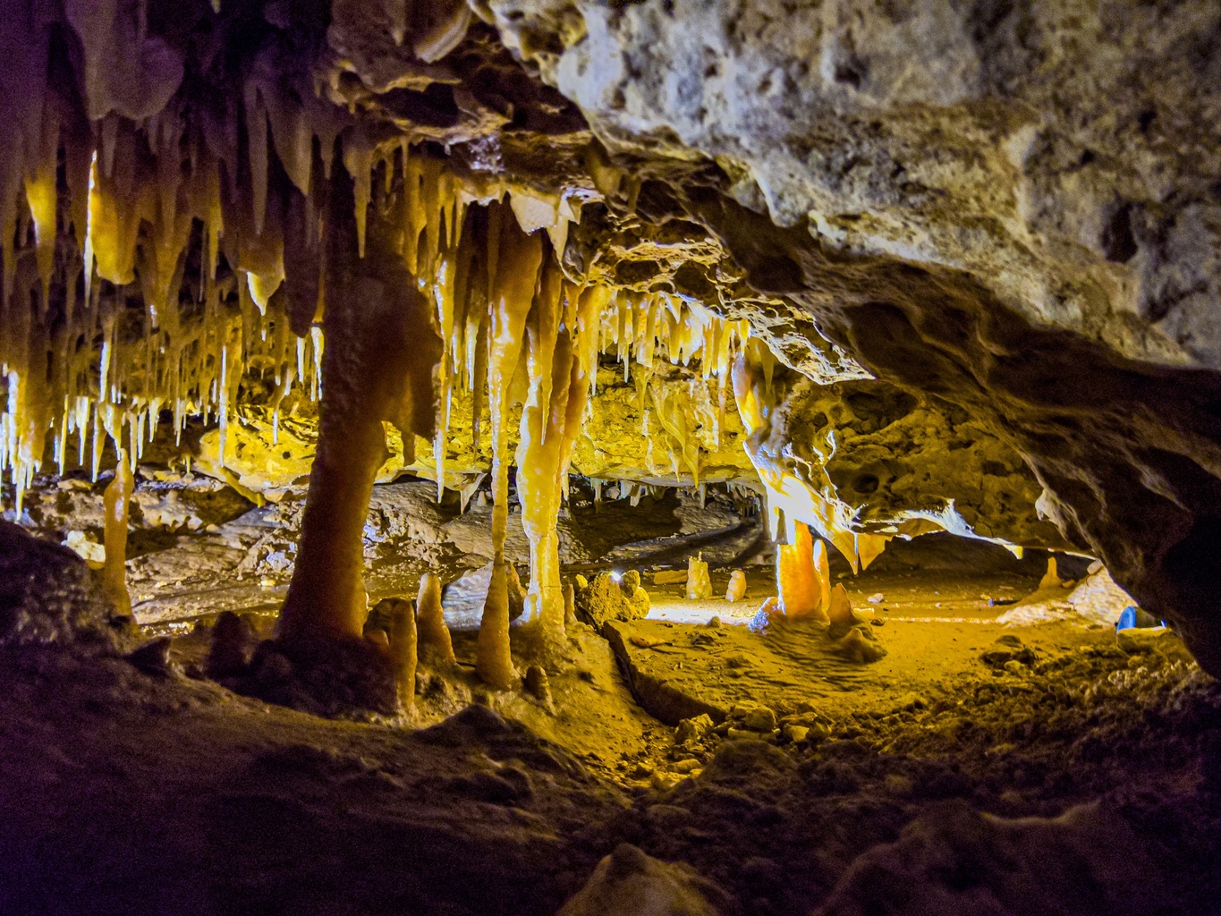 Naracoorte Caves National Park
