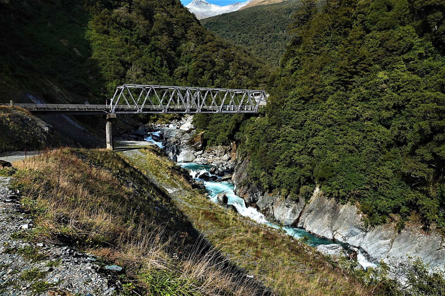 Gates of Haast Waterfall & Bridge