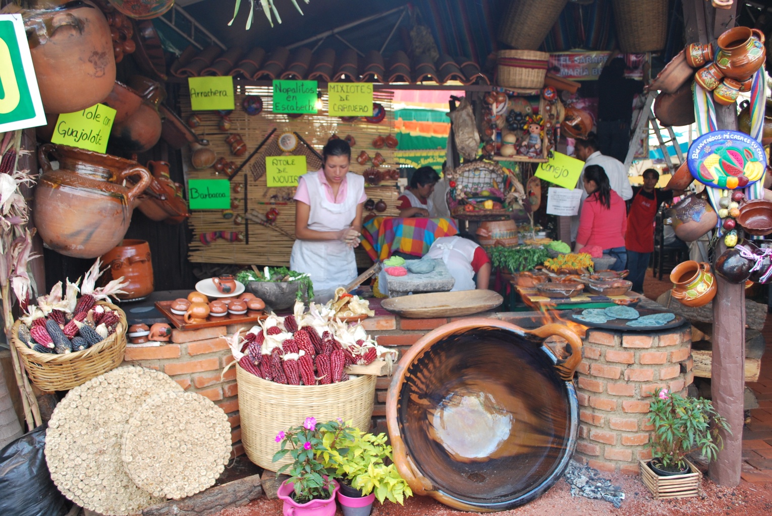 National Festival of Mole