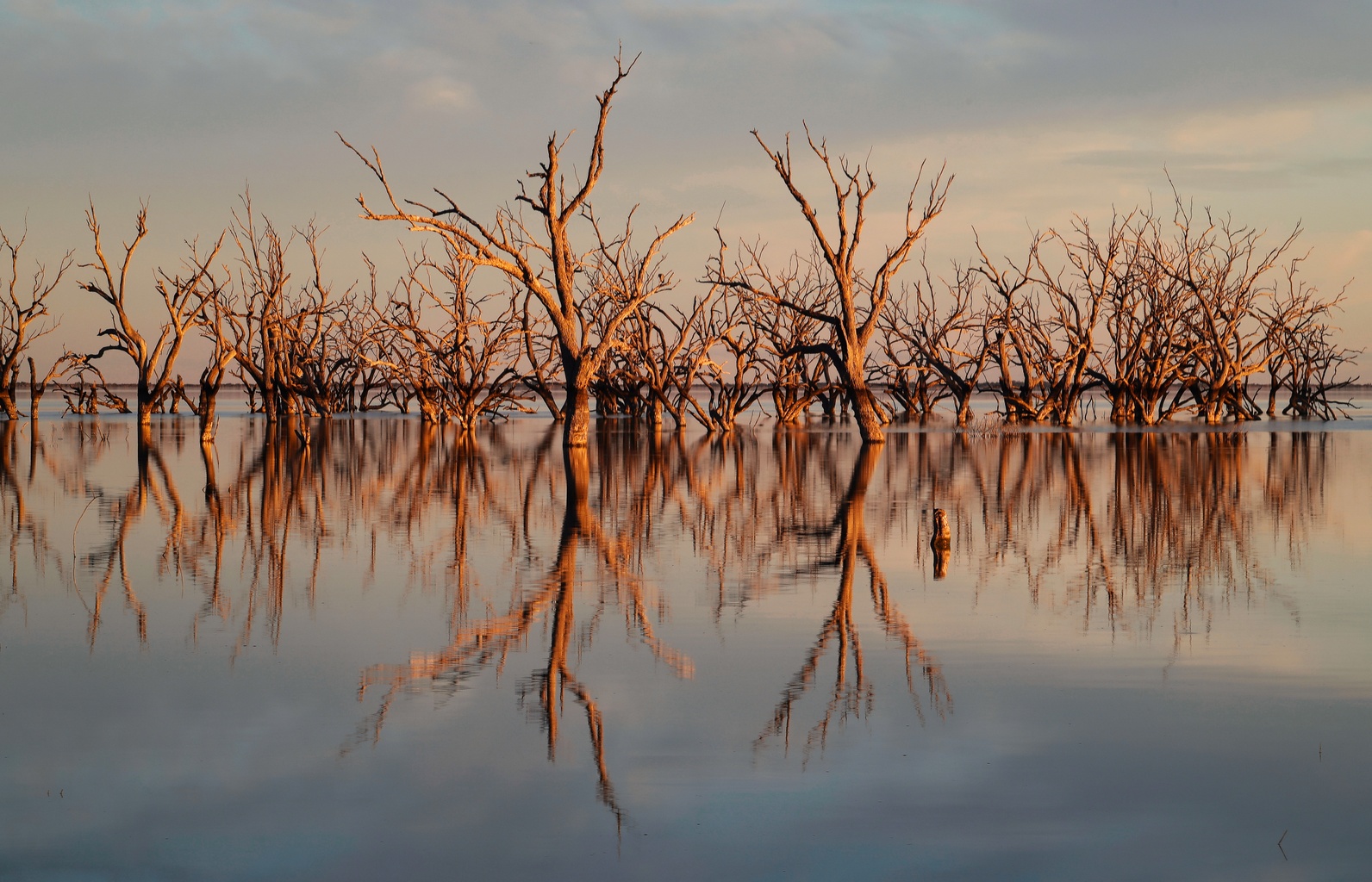 Menindee Lakes
