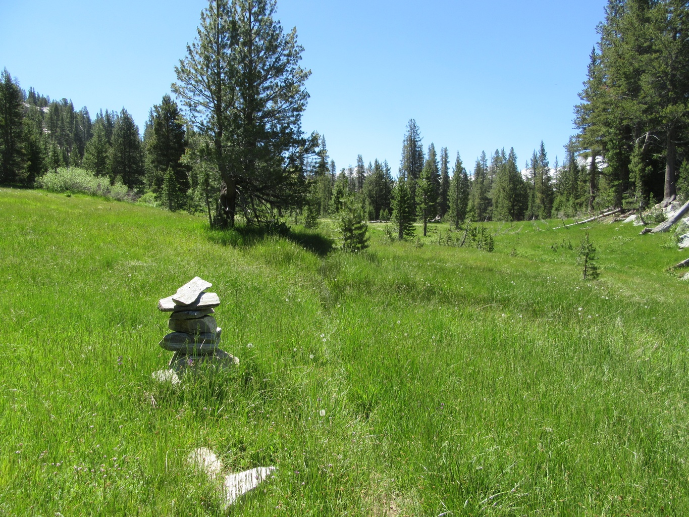 Leavitt Meadows Trail