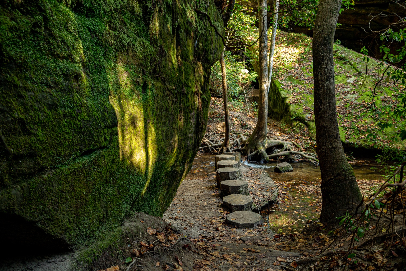 Dismals Canyon Campground