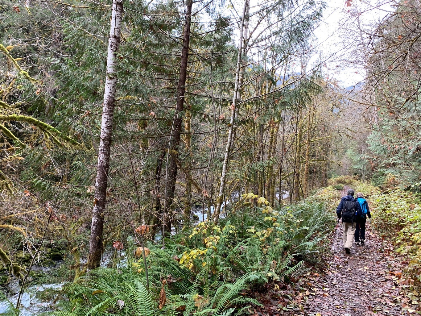 Dosewallips River Trail
