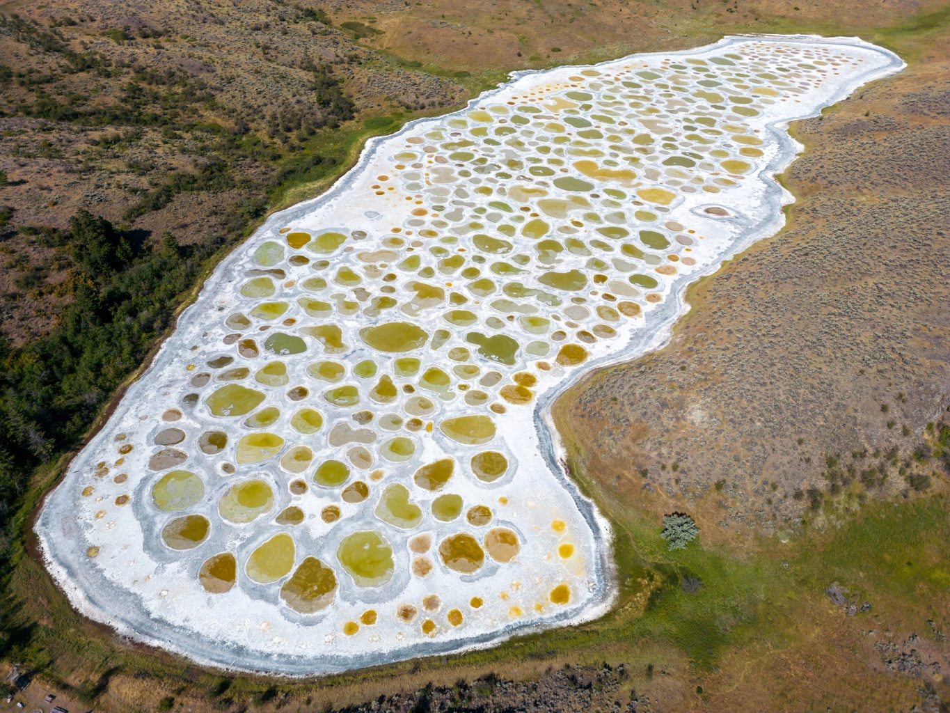 Spotted Lake