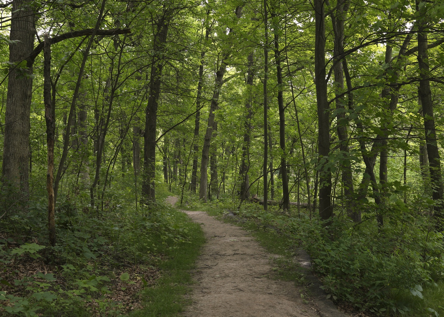 Theodore Wirth Park