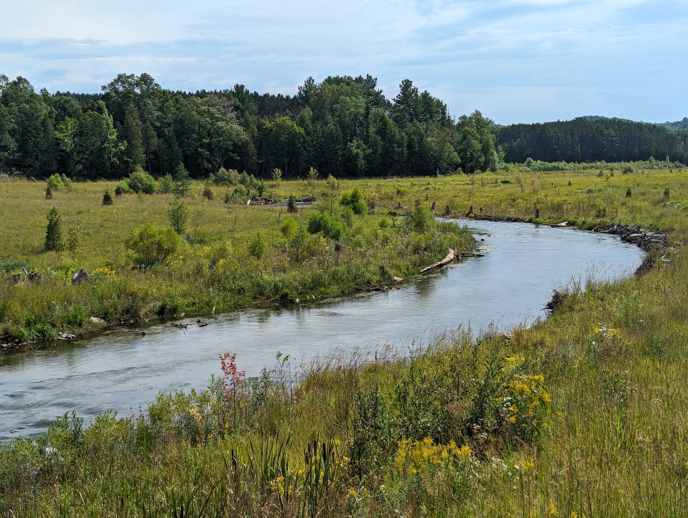 Boardman River Nature Center
