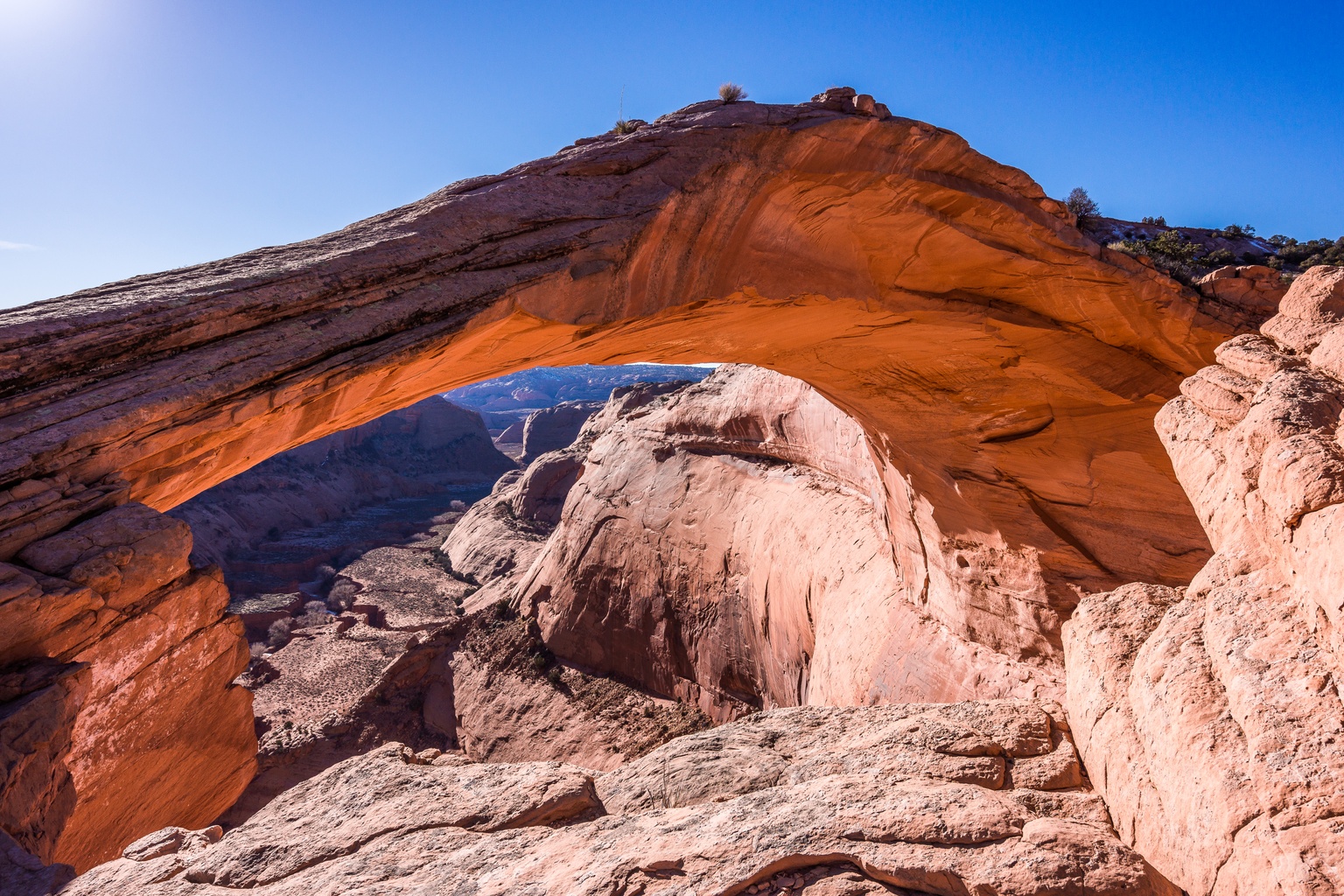 Eggshell Arch