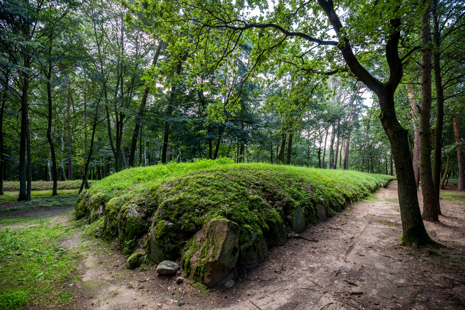 "Polish Pyramids" (Kuyavian Pyramids)