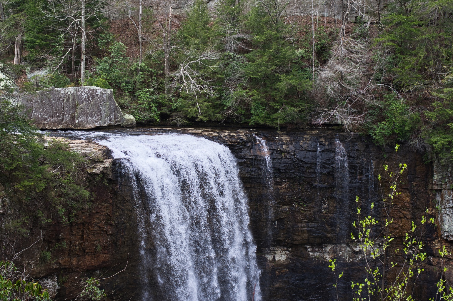 Lula Lake Land Trust
