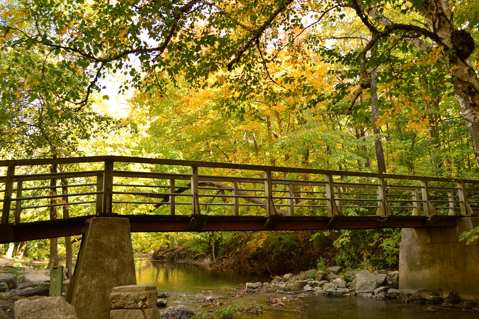 Petrifying Springs Park