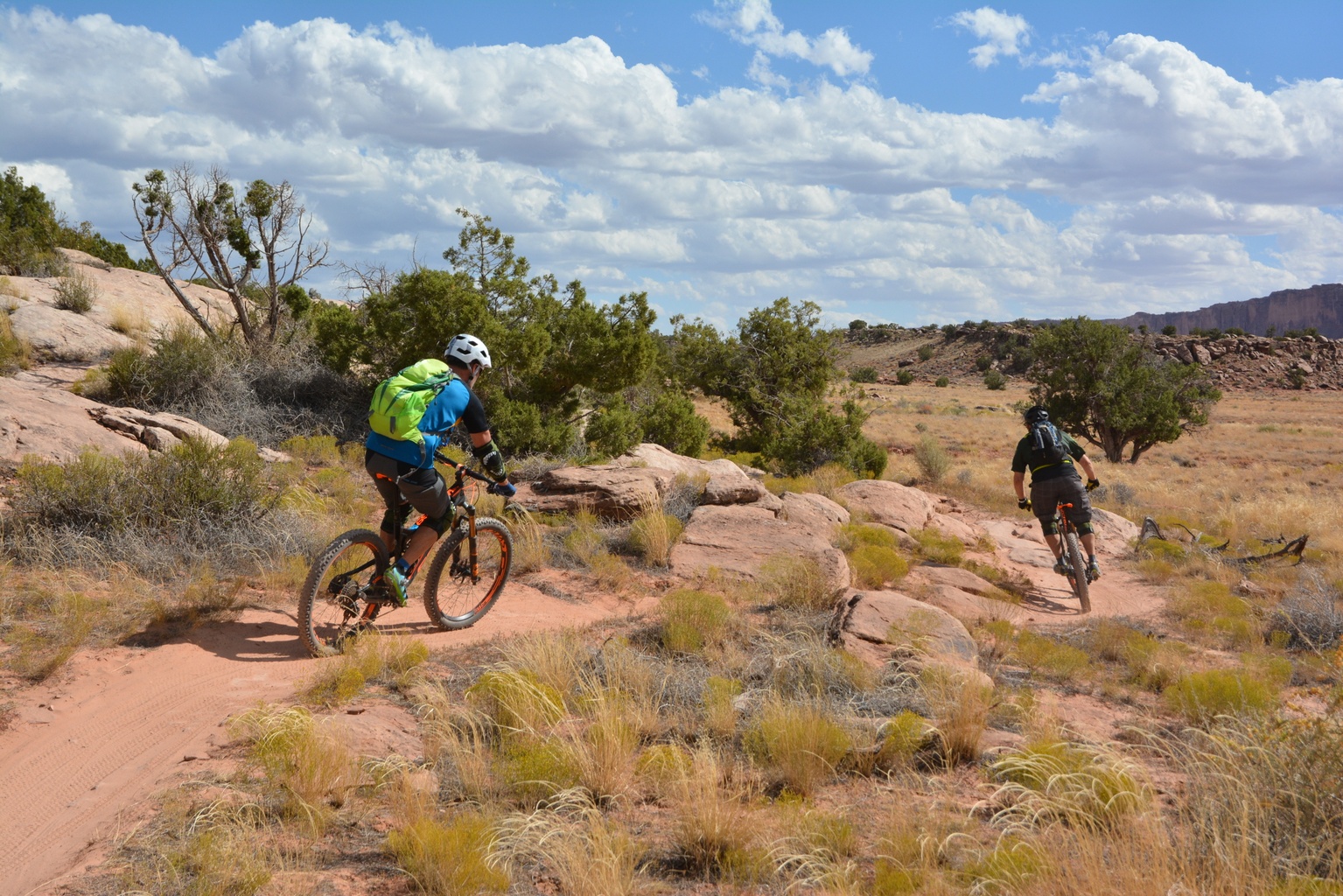 Bar M Trails
