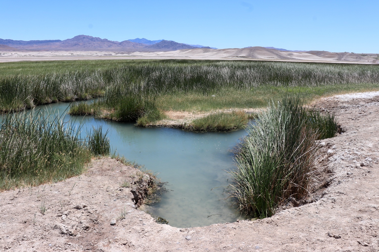 Tecopa Hot Springs