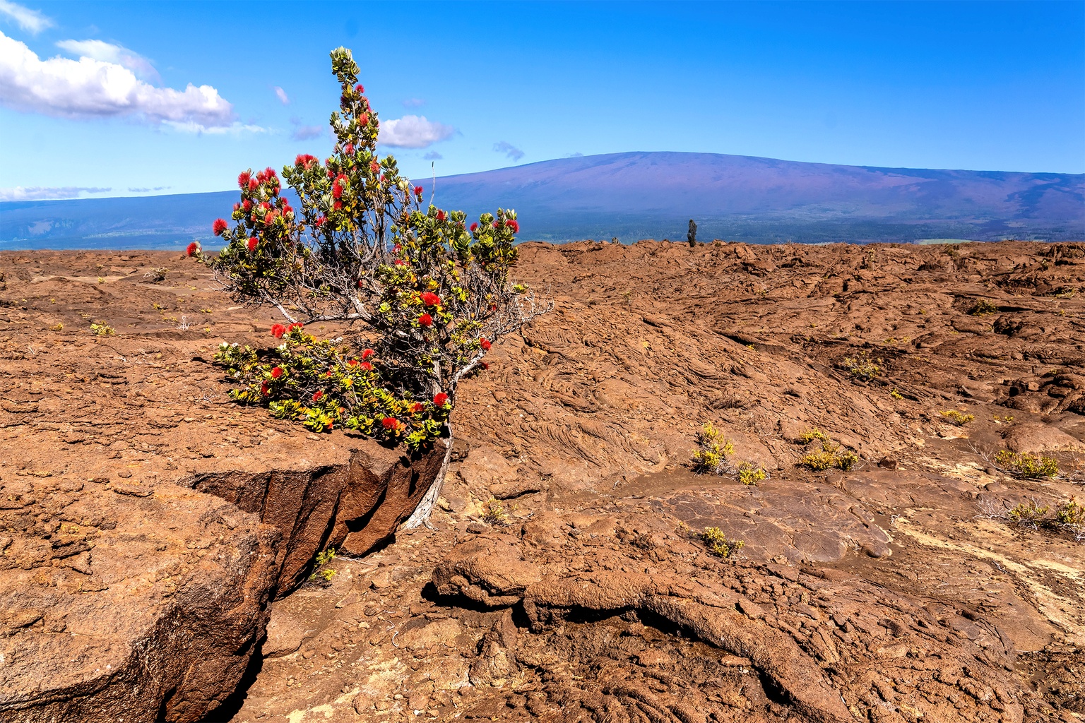Ka‘ū Desert Trail