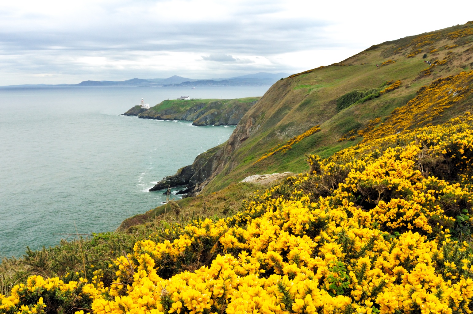 Howth Head