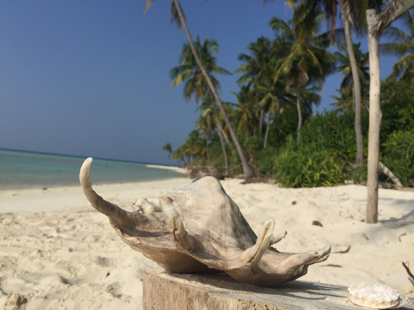 Himandhoo (Alif Alif Atoll)