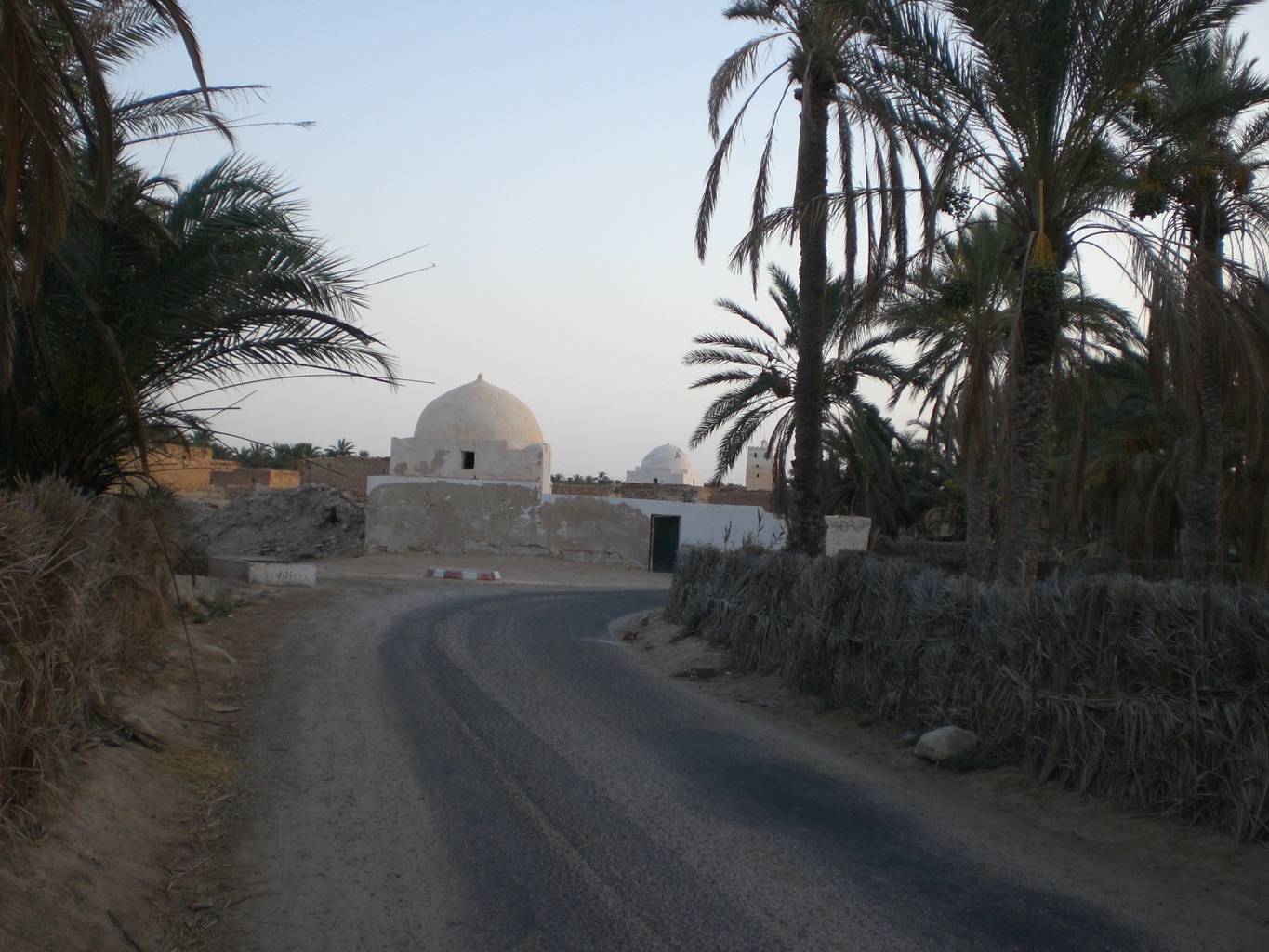 Kebili