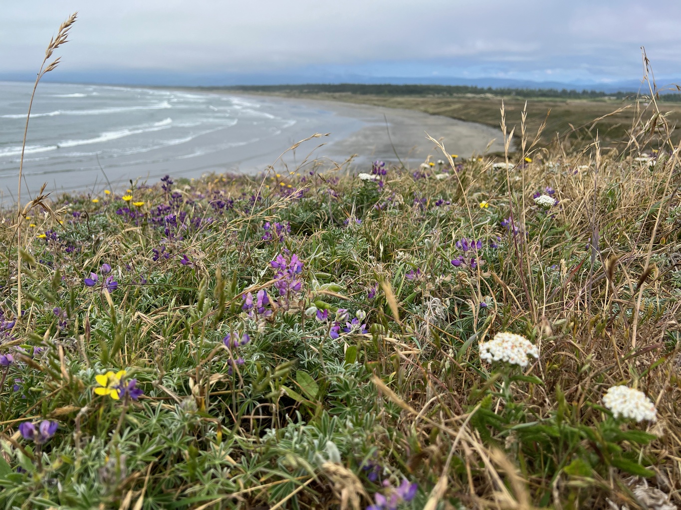 Point St. George Beach