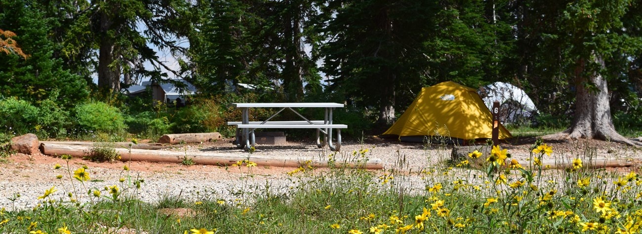 Point Supreme Campground