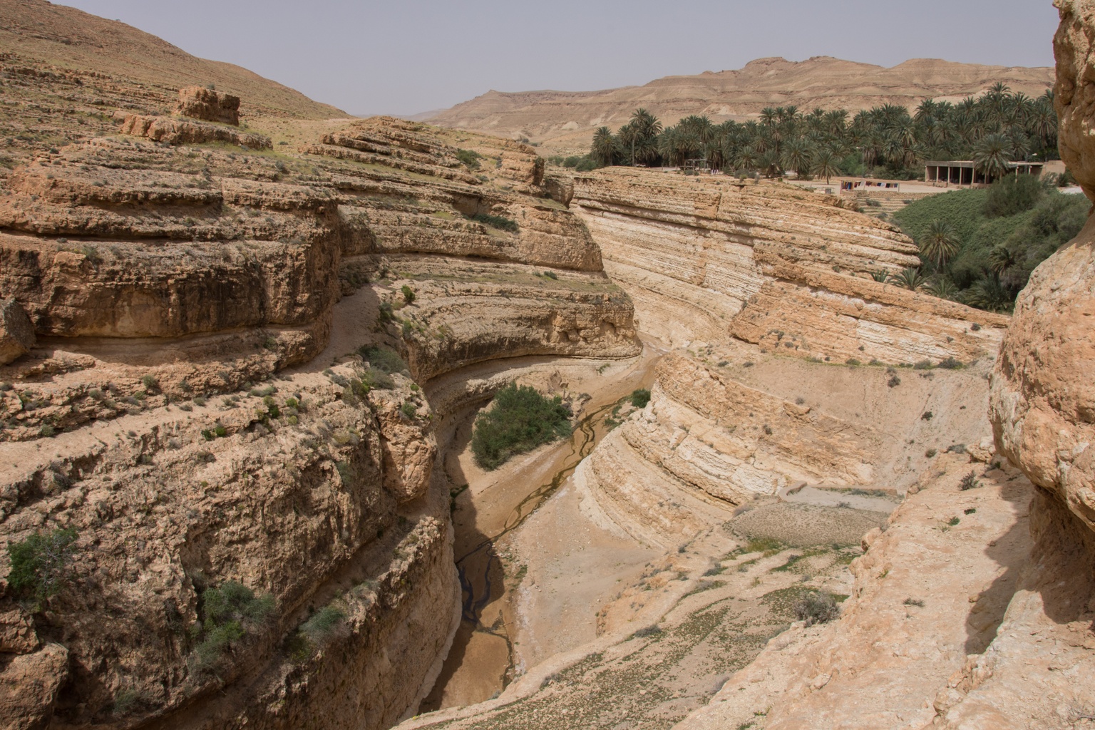 Midès Oasis & Canyon