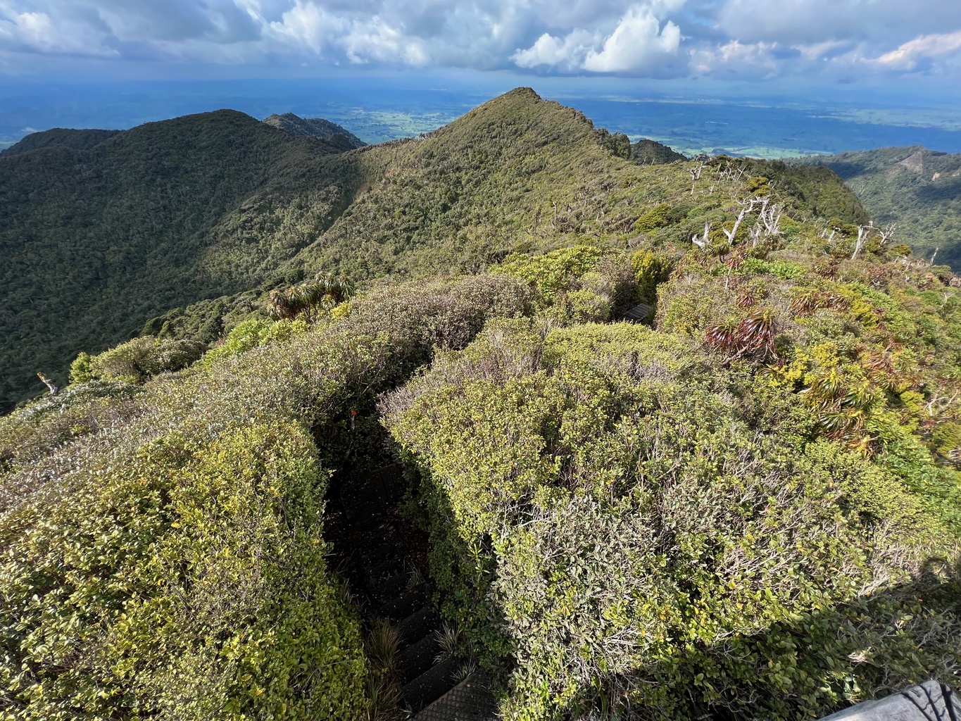 Mount Pirongia