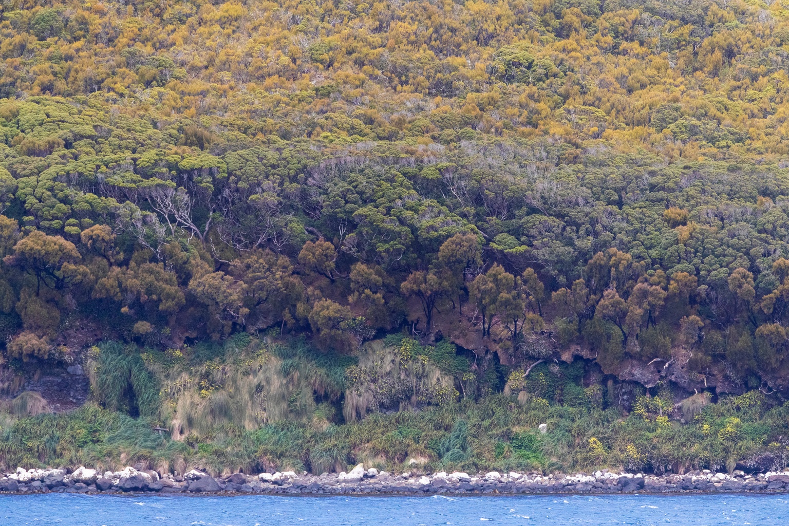 Carnley Harbour (Grafton shipwreck site)