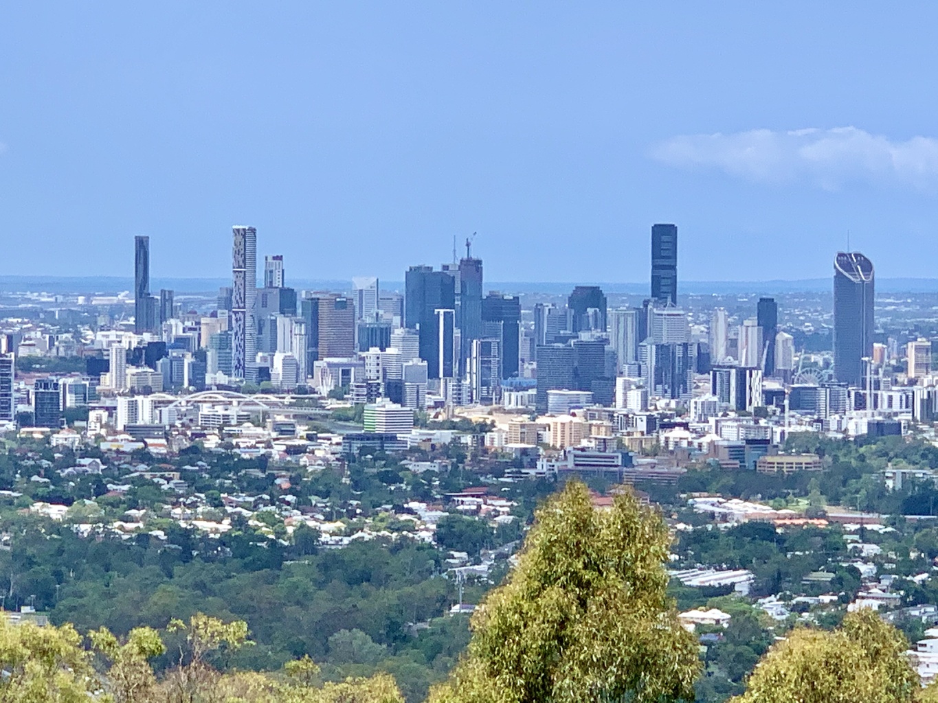 Mount Coot-Tha Summit Lookout
