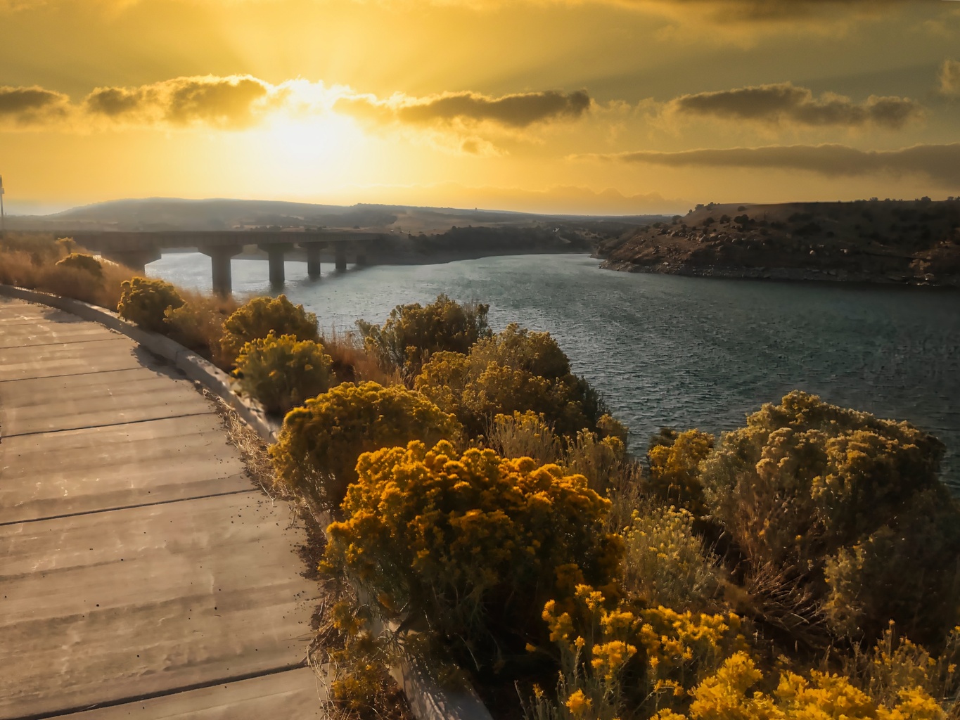 Fred Hayes State Park at Starvation (Starvation State Park)