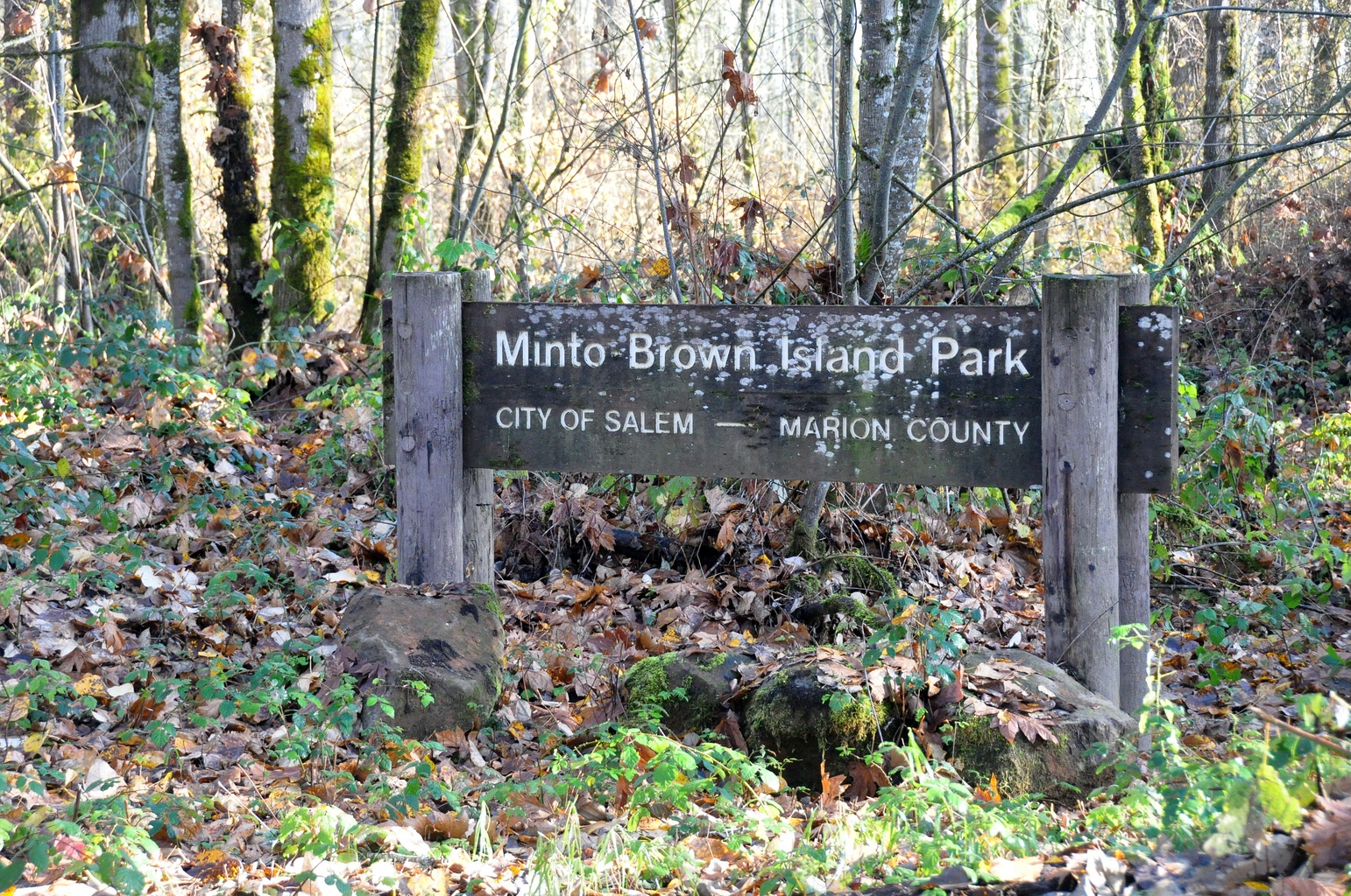 Minto-Brown Island Park