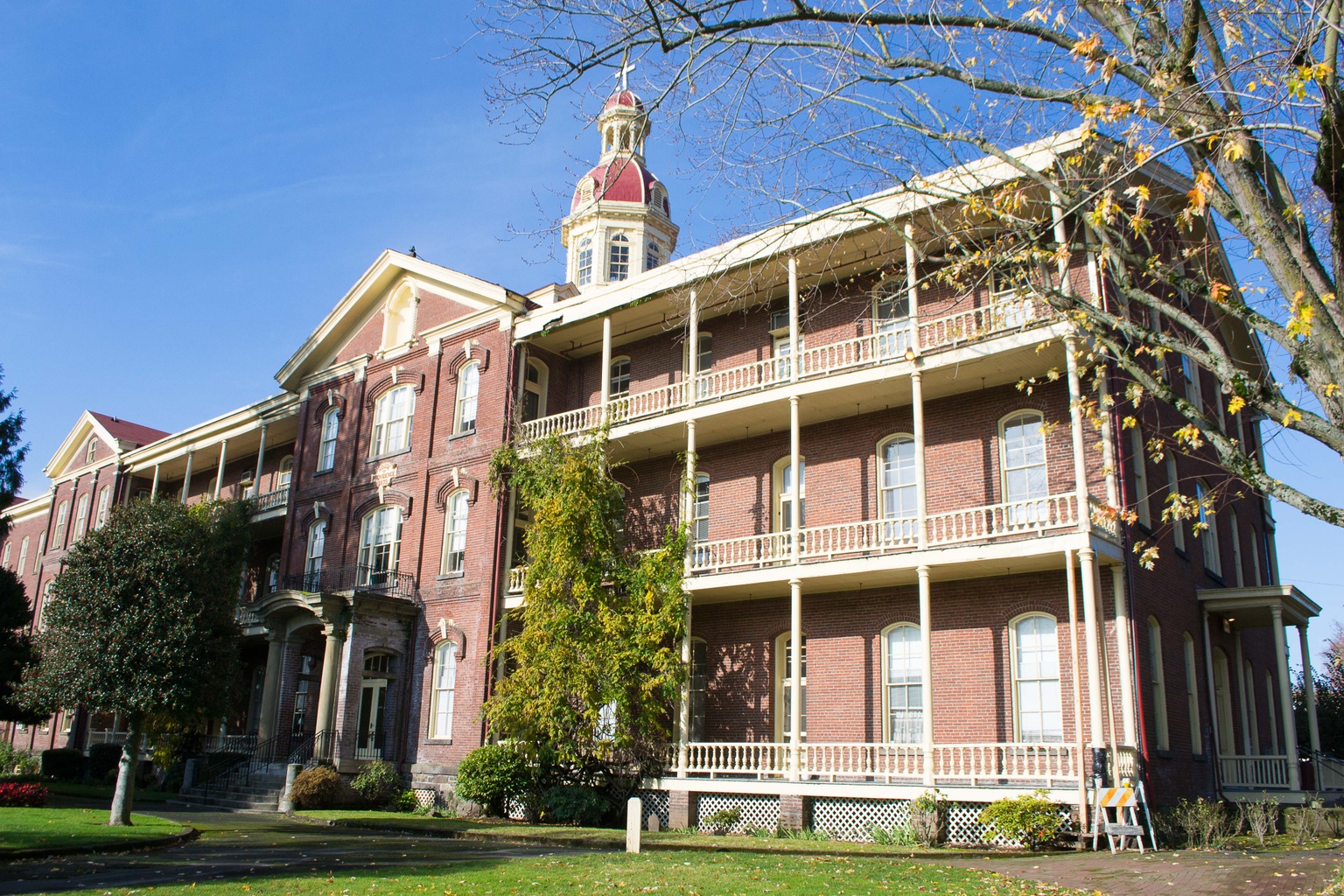 The Academy