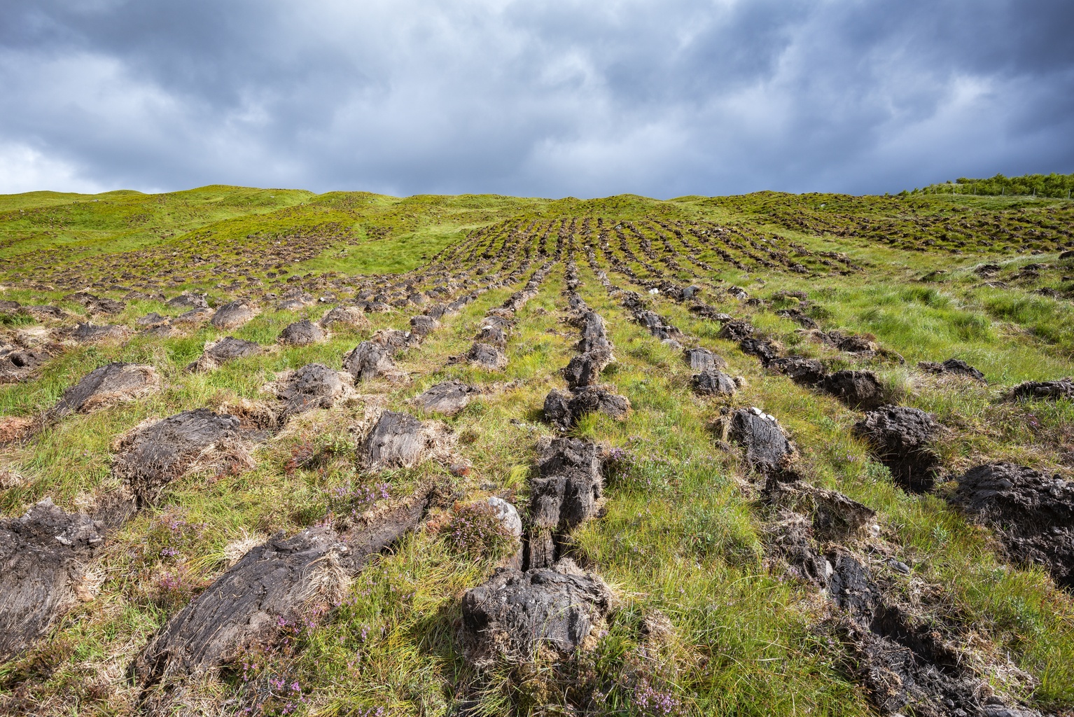 Caithness and Sutherland Peatlands