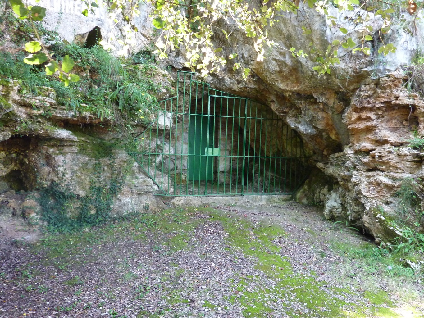 Caves del Monte Castillo