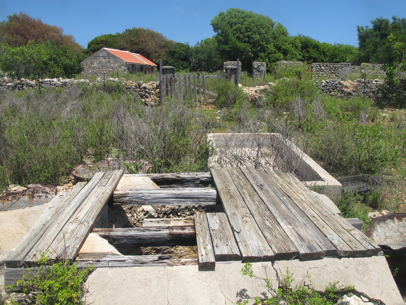 Van Romondt Ruins