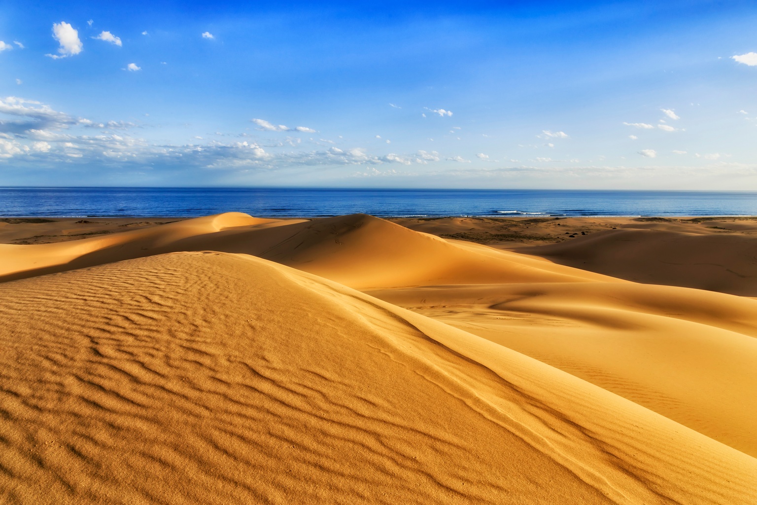 Stockton Beach Sand Dunes