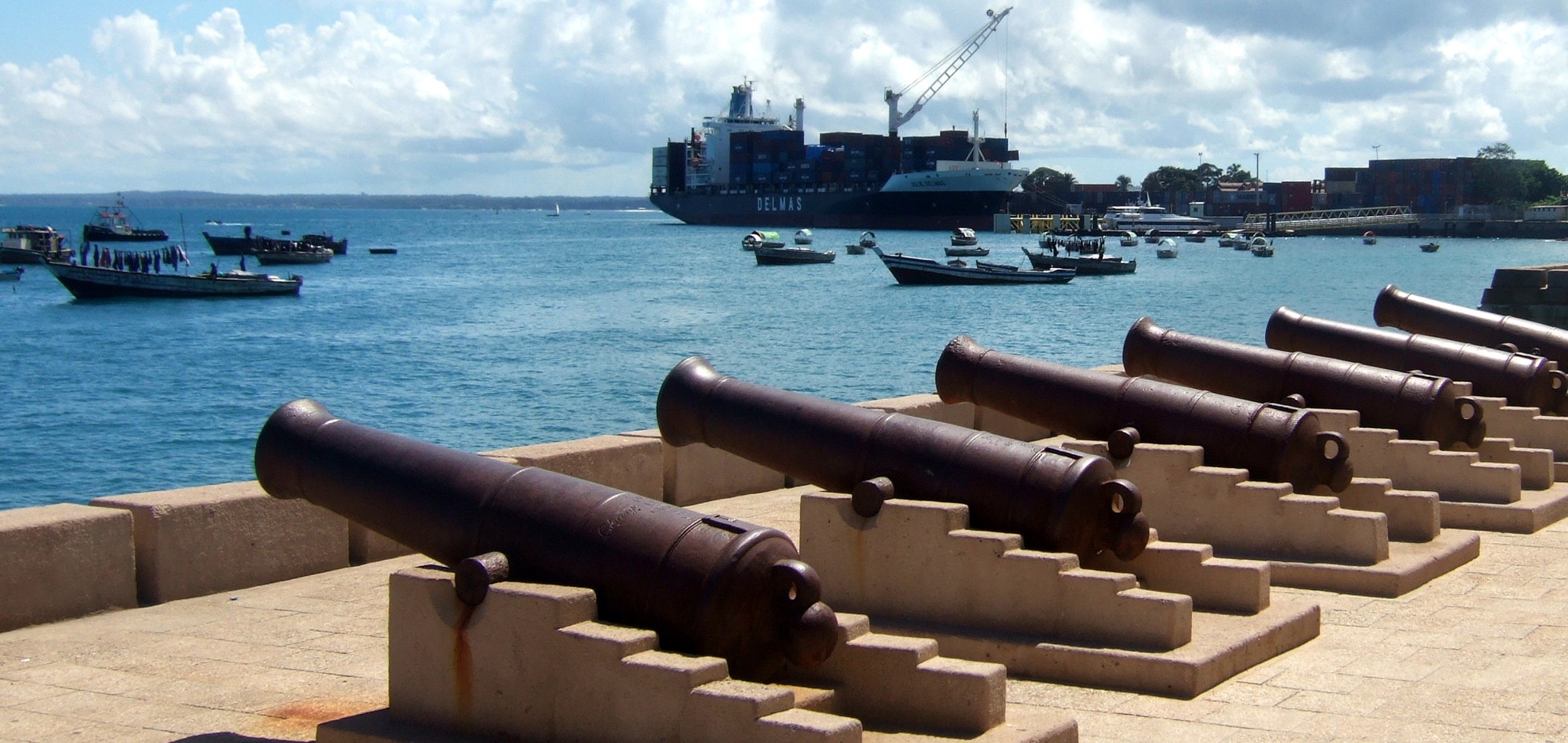 Zanzibar Cannons