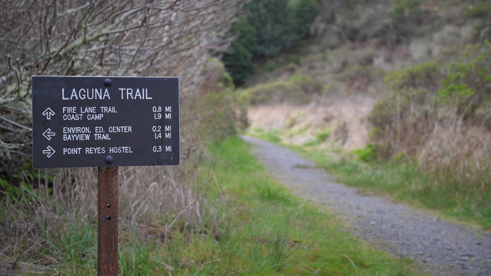 Laguna-Coast Loop Trail