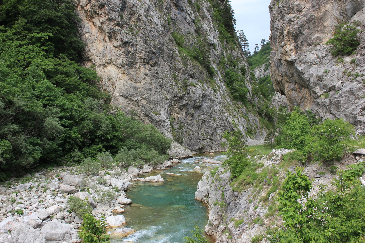 Sutjeska River