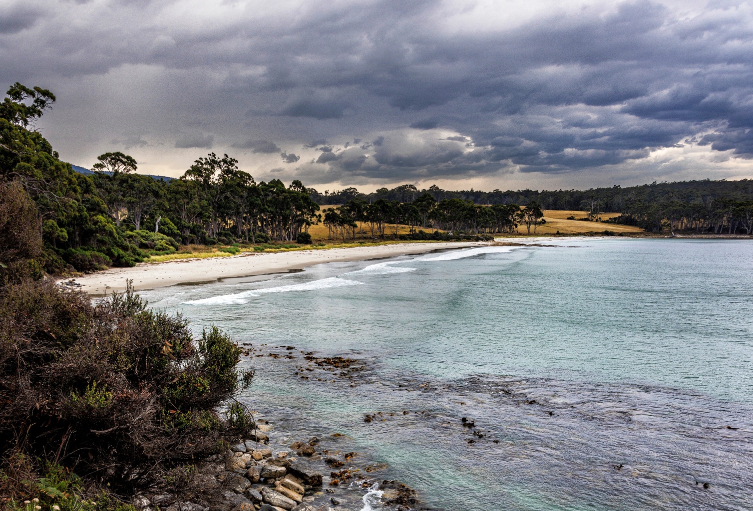 Roaring Beach Lookout