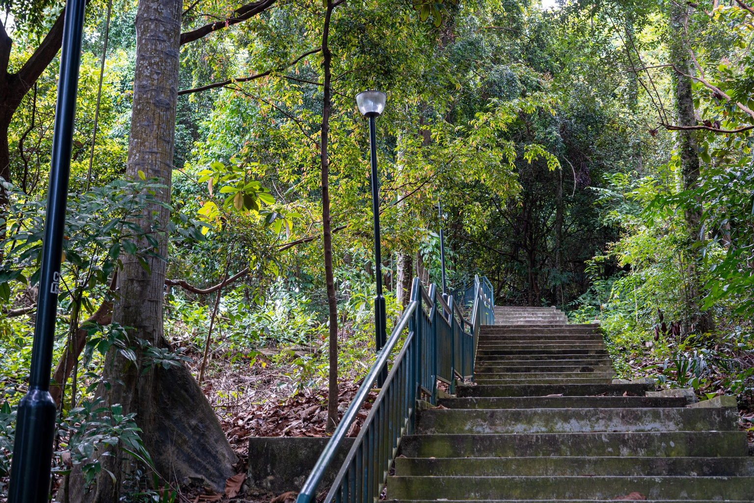 Marang Trail