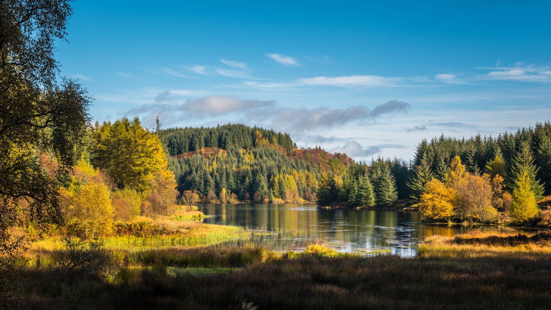 Queen Elizabeth Forest Park