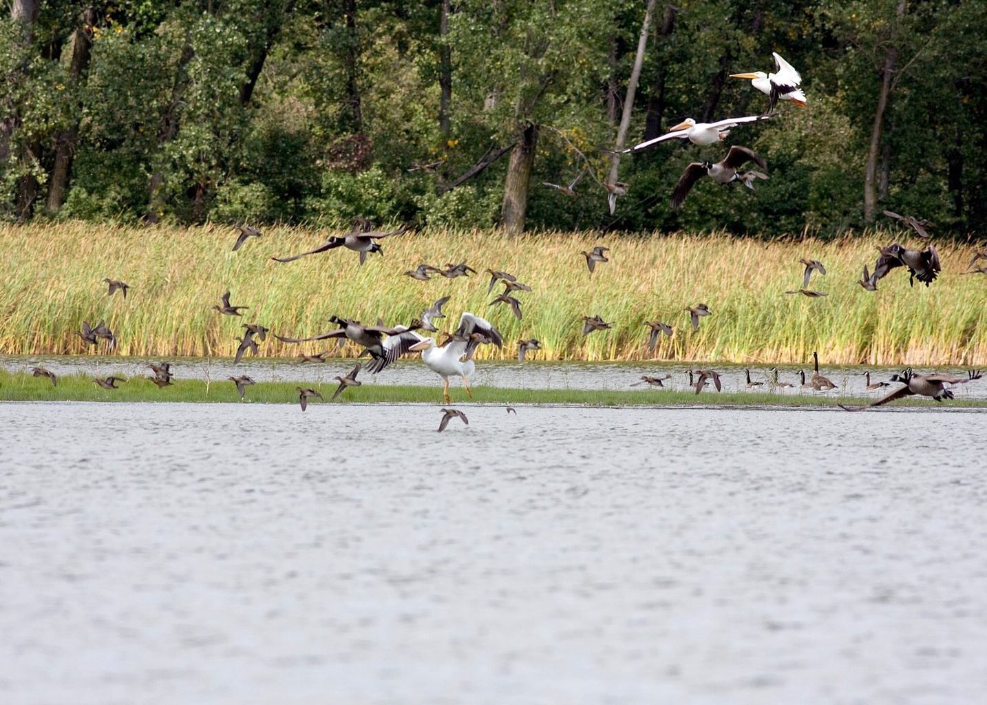 Boyer Chute National Wildlife Refuge