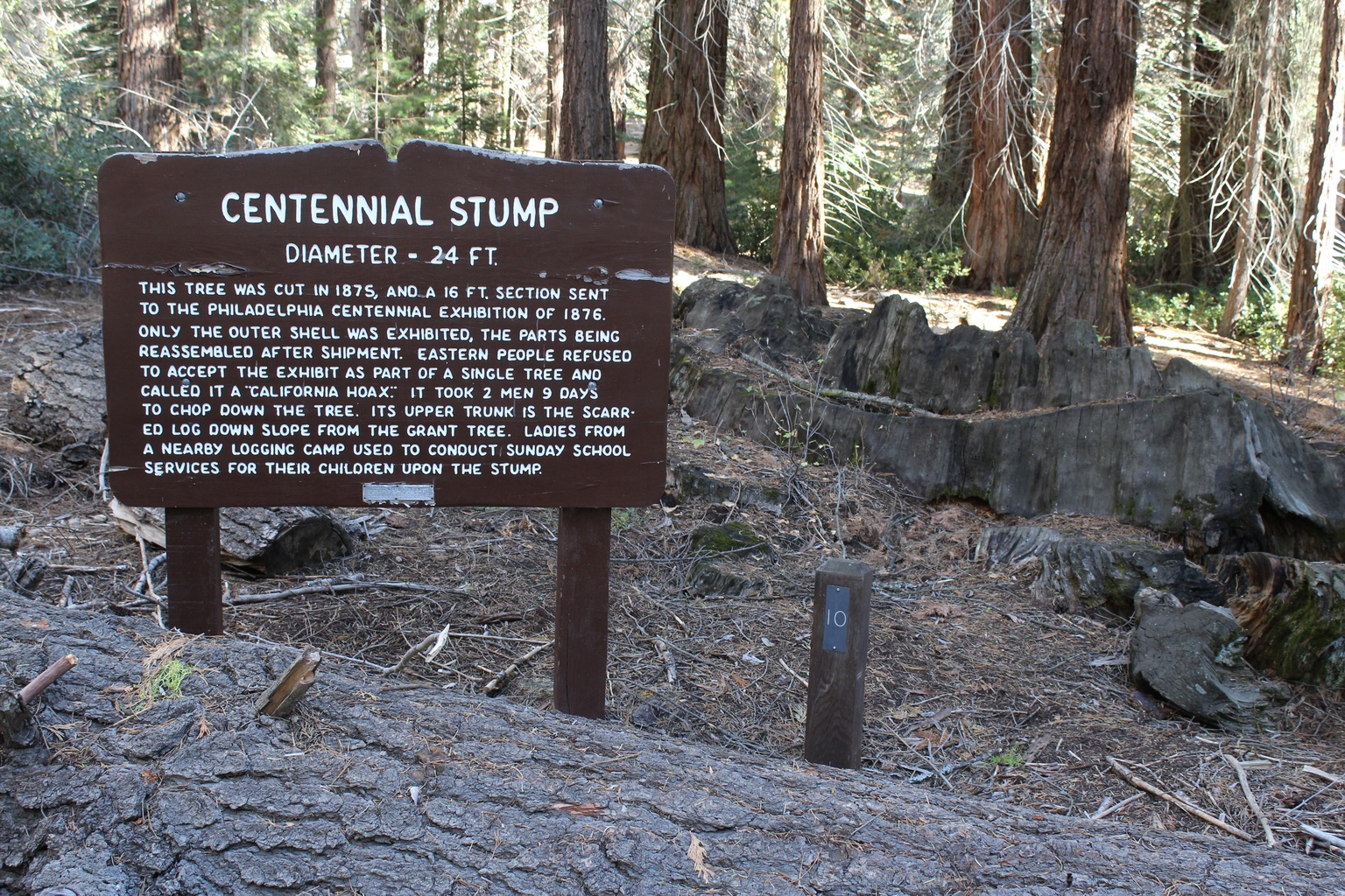 Centennial Stump