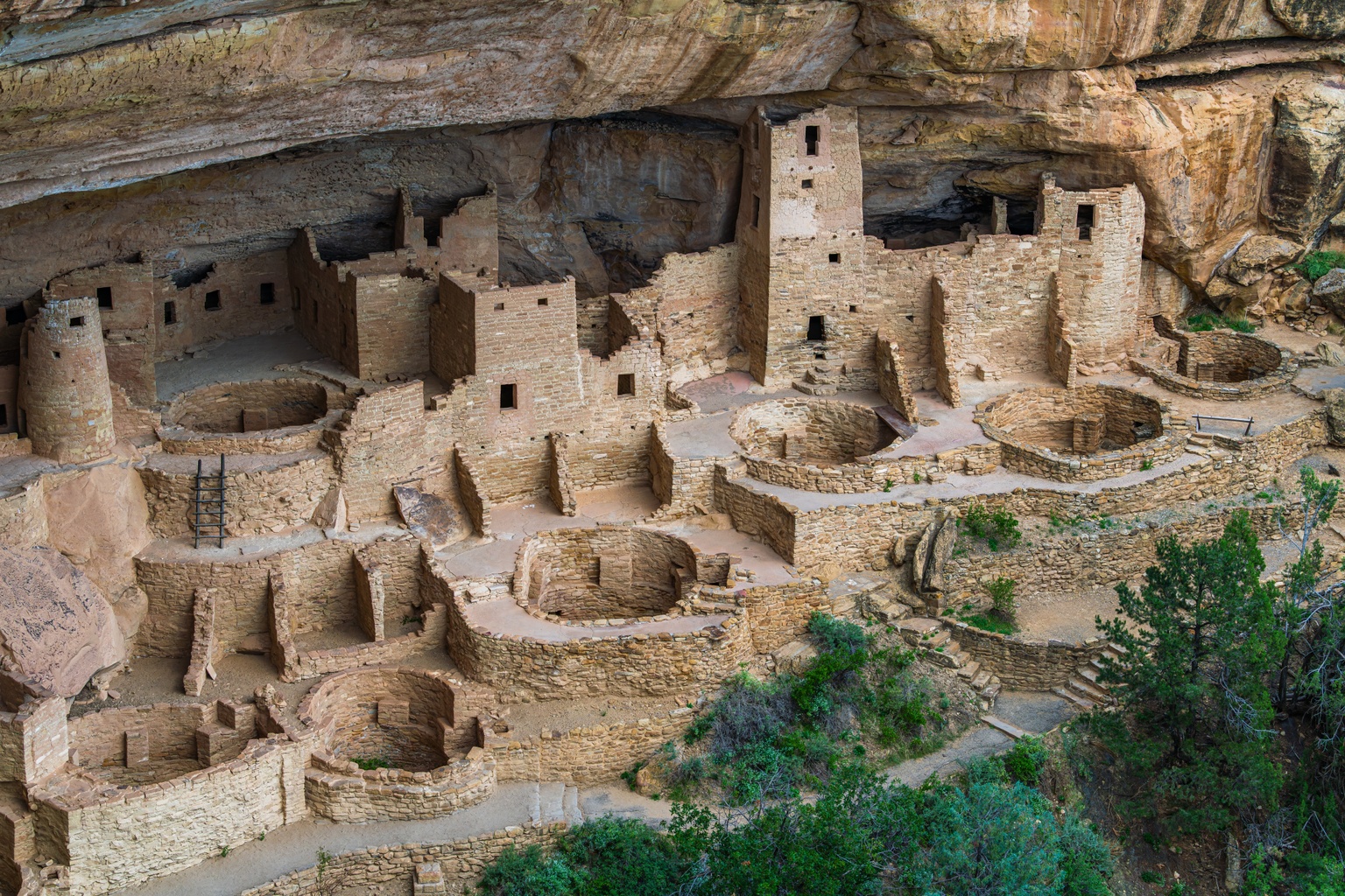 Cliff Palace Overlook