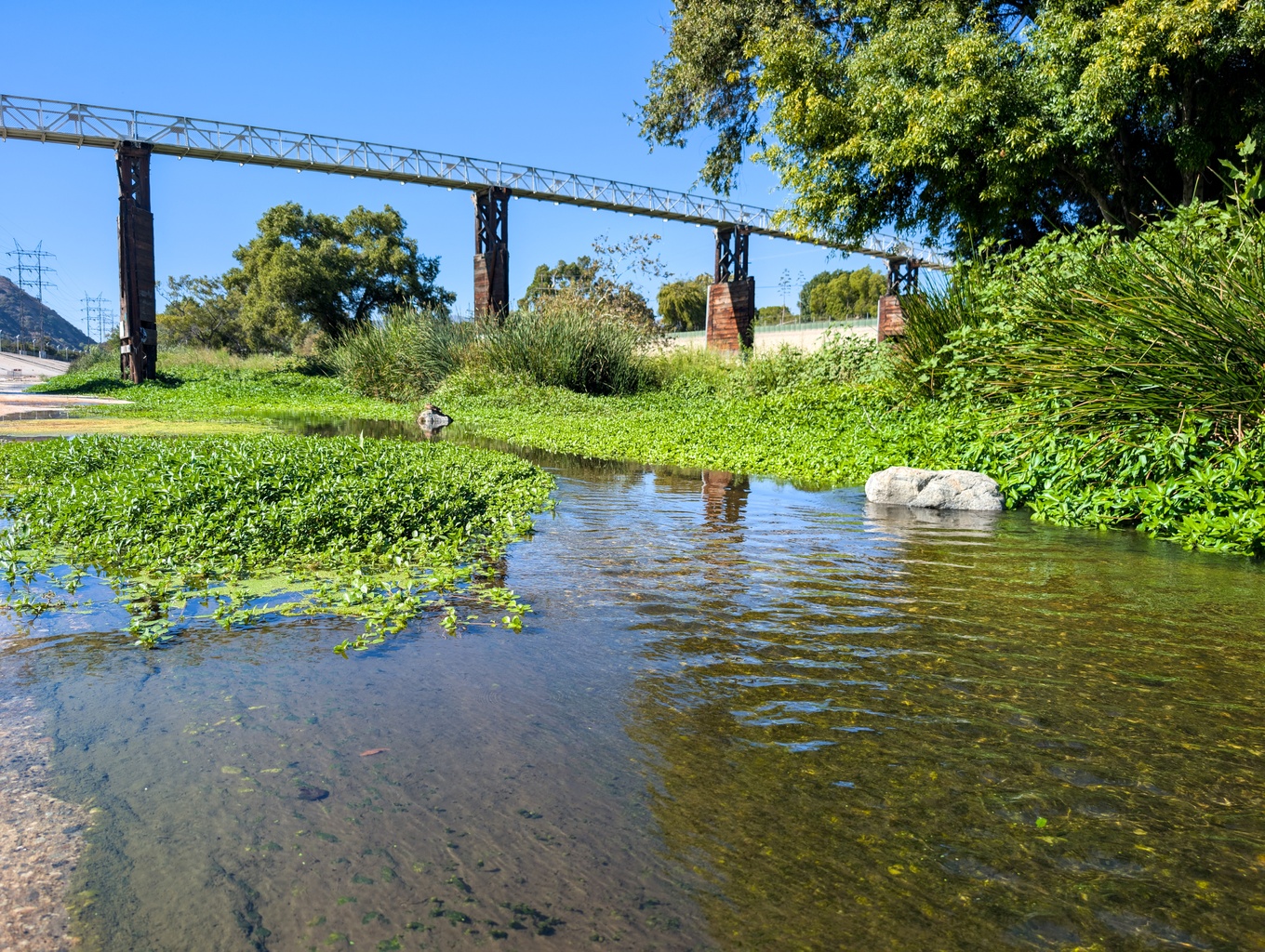 Sunnynook Pedestrian Bridge