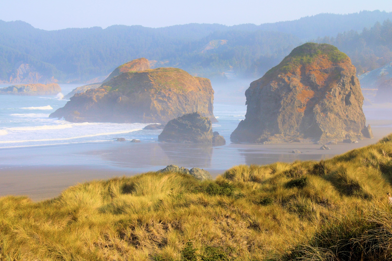 Cape Sebastian State Scenic Corridor