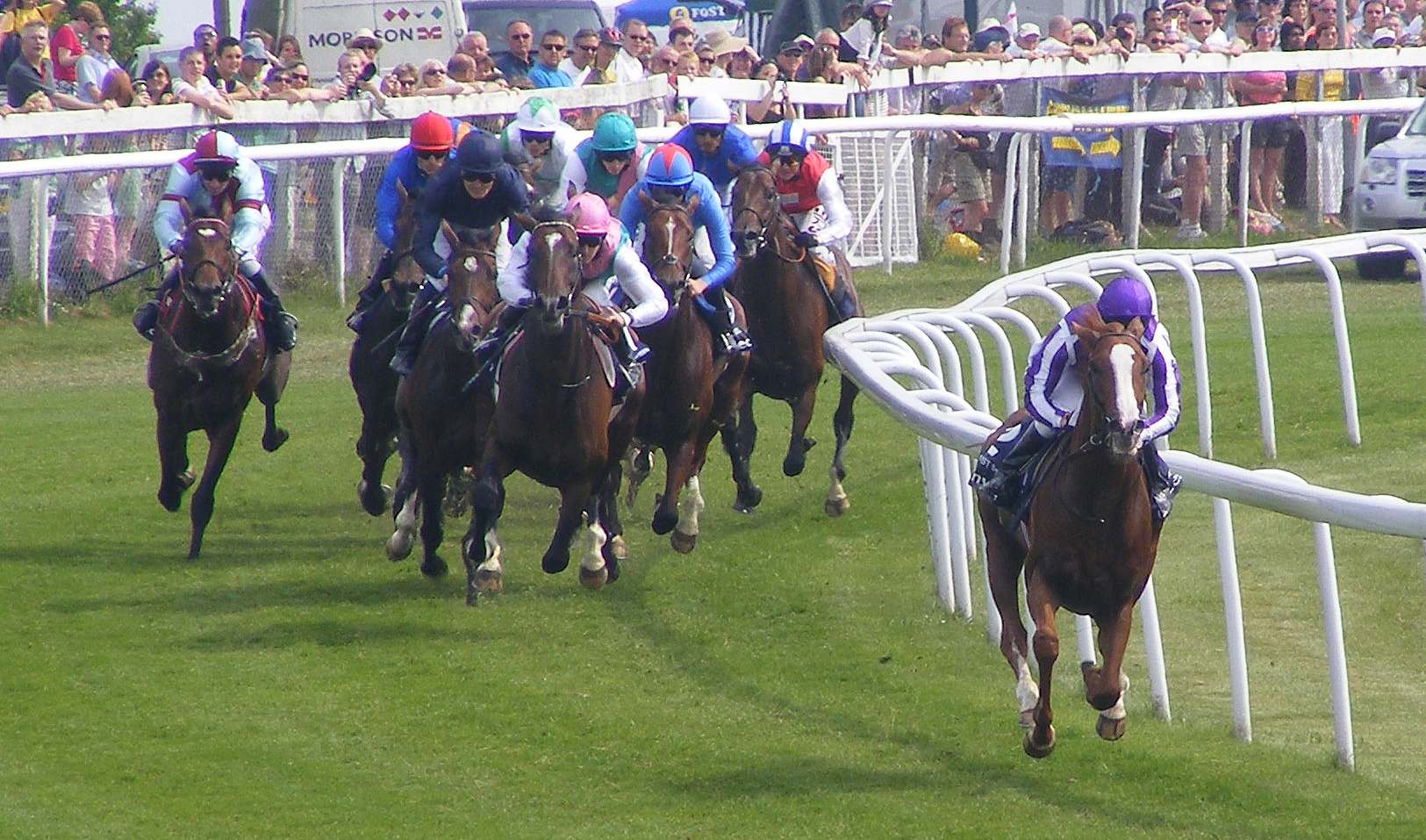 The Derby (Epsom Derby)